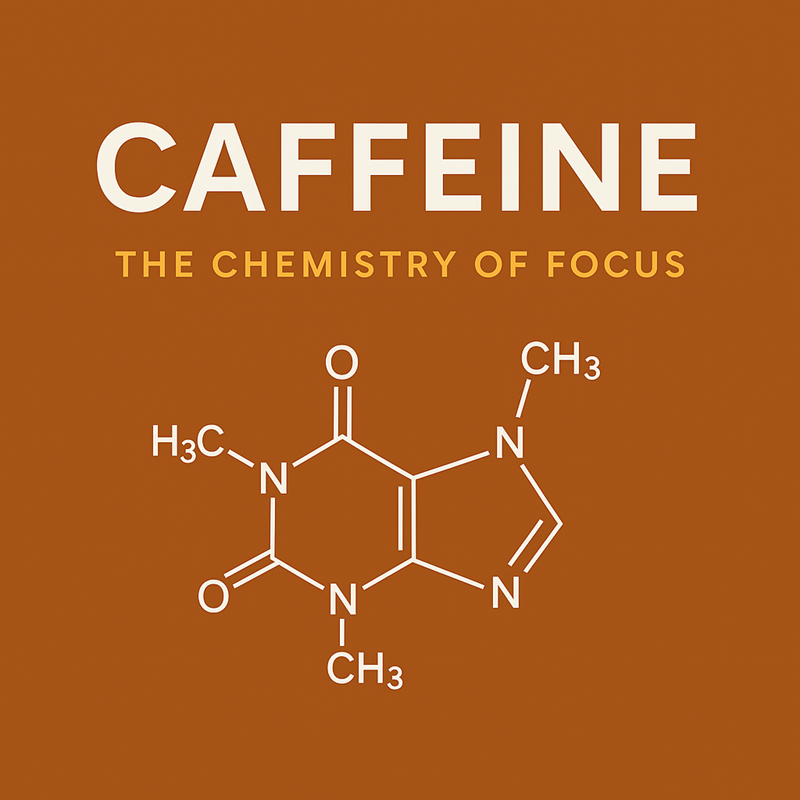 Caffeine - the Molecule of Focus – Sci-Fans